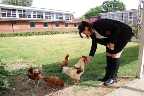 Assistant Headteacher with responsibilities for English and Literacy ...