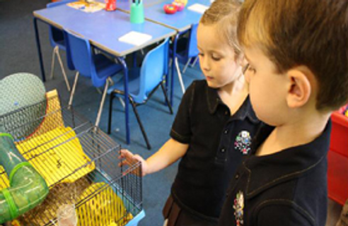 Headteacher, Sheffield - Tes Jobs