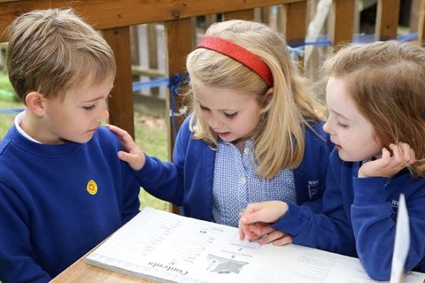 1:1 Learning Support Assistant (SEN), Somerset - Tes Jobs