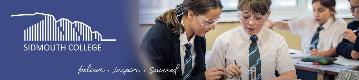 Mentor/Tutor for students with anxiety, Devon - Tes Jobs