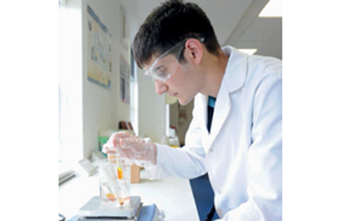 Learning Support Assistant for Adults and Apprentices, Somerset - Tes Jobs