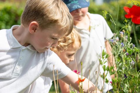 Trust Finance Officer, Essex - Tes Jobs