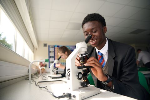 Lead Practitioner for Teaching & Learning, Barking and Dagenham - Tes Jobs