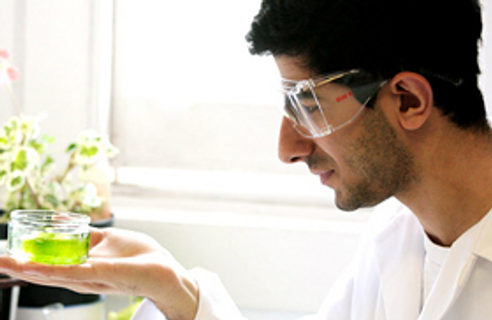 Business A level Teacher - Majority One to One Teaching, South ...