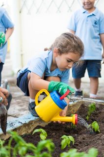 Teacher of Computer Science - Senior School, Oman - Tes Jobs