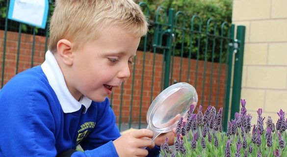 Principal for Yarnfield Primary School, Birmingham - Tes Jobs