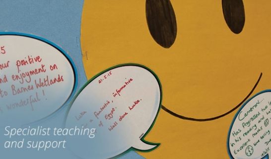 Assistant Headteacher- Pastoral Support/Nurture and Wellbeing, London ...