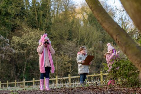 EYFS Leader with Class Teacher Responsibility, Medway - Tes Jobs