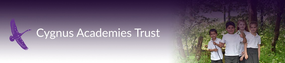 Chief Executive Officer (CEO), Kent - Tes Jobs