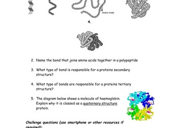 Biological Molecules Bundle | Teaching Resources
