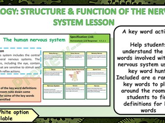 AQA Homeostasis & Response Section Lessons by chalky1234567 - Teaching ...