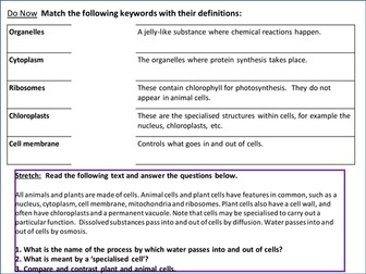 KS3 Science Do Nows | Teaching Resources