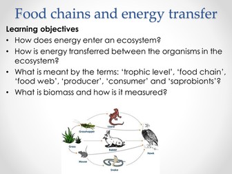 AQA A-level Biology (2016 specification). Section 5 Topic 13: Energy ...