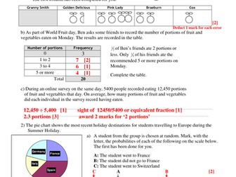 78 maths homework or revision papers with over 375 pages of write on ...