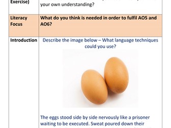 The Hunger Games SOL | Teaching Resources