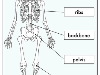 Year 3 and 4 Science Worksheets with Complimentary Posters | Teaching ...