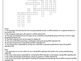 Huge A level Biology Resource Bundle | Teaching Resources