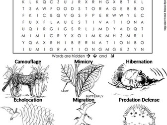 Animal Adaptations Task Cards and Activities Bundle | Teaching Resources