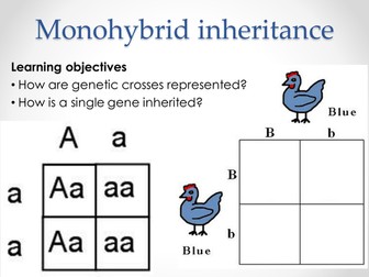 AQA A-level Biology (2016 specification). Section 7 Topic 17: Inherited ...