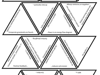 ESS Revision Pack | Teaching Resources