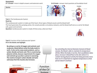 IGCSE PE: Unit 1 | Teaching Resources