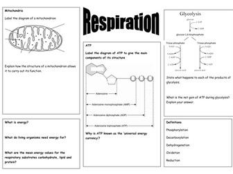 A2 Respiration Bundle | Teaching Resources