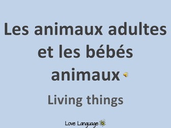 French Living Things - Habitats and Adult and Baby Animals Bundle ...
