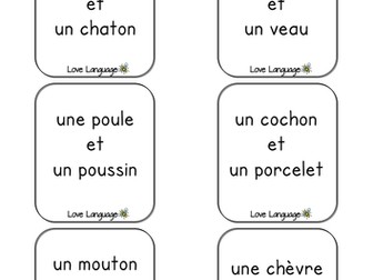 French Living Things - Habitats and Adult and Baby Animals Bundle ...