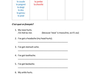 French - Saying where it hurts | Teaching Resources
