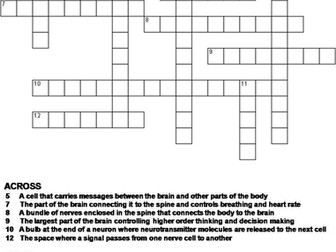 Human Body Systems: Anatomy Crossword Puzzles Bundle | Teaching Resources