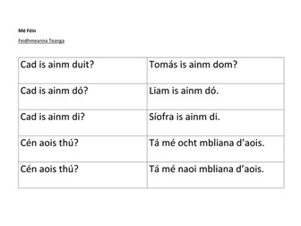 Mé Féin | Teaching Resources