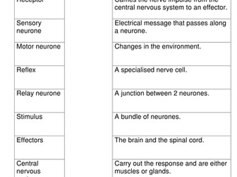 B10: The human nervous system (AQA) | Teaching Resources