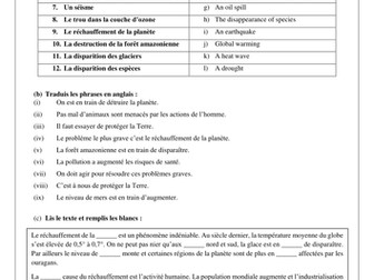 GCSE French - The Environment / l'environnement resource bundle ...