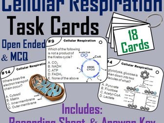 Photosynthesis and Cellular Respiration Activities and Task Cards ...