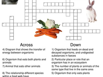 Biology Crossword Puzzle Bundle. Includes 10 different crosswords! by ...