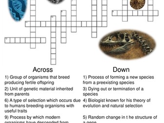 Biology Crossword Puzzle Bundle. Includes 10 different crosswords ...