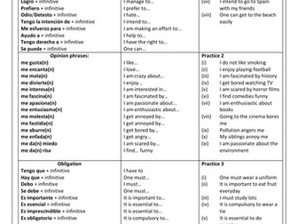 Spanish GCSE Grade 8/9 (A*) constructions & complex structures : 20 ...