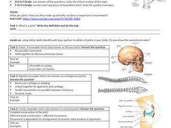 IGCSE PE (spec 2018) Skeletal System Bundle 1.1/2/3 | Teaching Resources