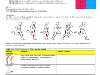 IGCSE PE (spec 2018) Skeletal System Bundle 1.1/2/3 | Teaching Resources