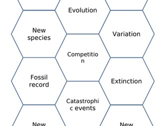 Biology Paper 2 revision - SOLO Hexagons | Teaching Resources
