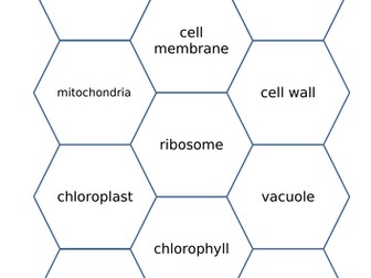 Biology Paper 1 revision - SOLO Hexagons | Teaching Resources