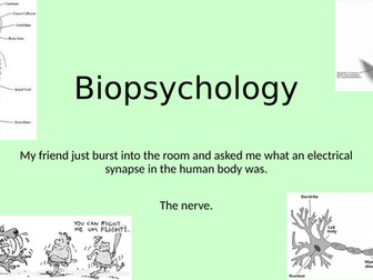 Biopsychology | Teaching Resources