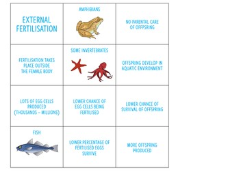 Human Reproduction - 10x Activities and Games (KS3) by anjacschmidt | Teaching Resources