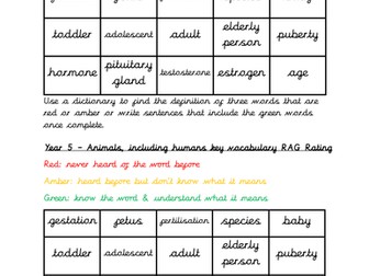 UKS2 Science RAG Rate key vocabulary | Teaching Resources