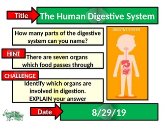 AQA Activate 8.4 - Digestion | Teaching Resources