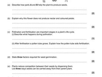 Exam style questions : Science (KS3_IGCSE) with answer script | Teaching Resources