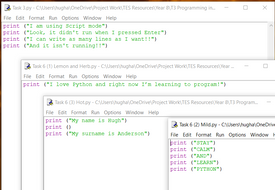Computer Science: Programming in Python [L1] | Teaching Resources