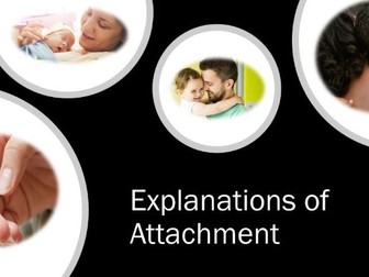 Attachment - AQA - A Level - Psychology | Teaching Resources