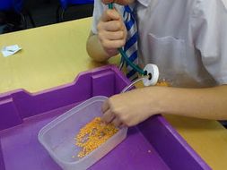 Evolution. KS2 practical activity and resources | Teaching Resources