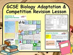 KS4 GCSE Biology Adaptation & Competition Revision Lesson | Teaching ...